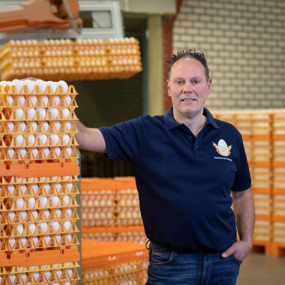 Landelijke ophokplicht pluimvee - wat kun jij doen? - Boeren van Weert